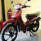 Honda Nf100 - 12 Used Motorcycles | Cari Motorcycles